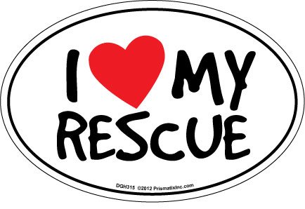 Amazon.com: Prismatix Decal Cat and Dog Magnets, I Heart My Rescue ...