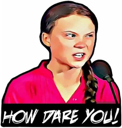 Amazon.com: Greta Thunberg Truck Car RV Van ATV How Dare You - Sticker ...
