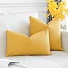 Amazon.com: OTOSTAR Pack of 2 Throw Pillow Covers 16x24 Inch Linen ...