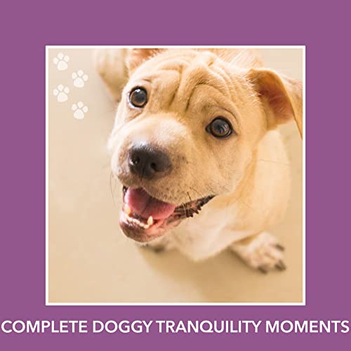 Complete Doggy Tranquility Moments by Dog Chill Out Music on Amazon ...