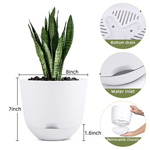 Snapklik.com : QCQHDU Plant Pots,3 Pack 8 Inch Self Watering Planters ...
