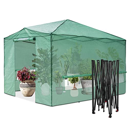 6 Best Greenhouse For High Windy Areas in 2022