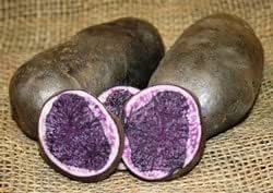 Amazon.com : Potatoes - All Blue Potatoes Organic Heirloom Seeds ...