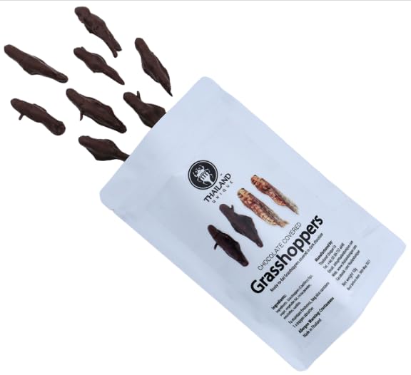 Amazon.com: Thailand Unique Chocolate Covered Grasshoppers - 15G Bag of ...
