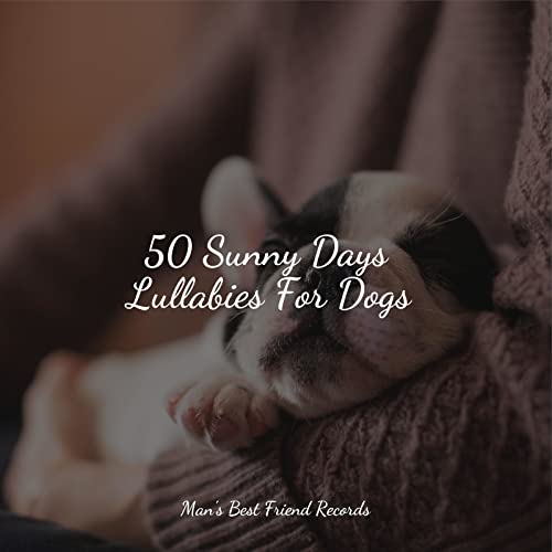 Écouter 50 Sunny Days Lullabies For Dogs par Jazz Music Therapy for ...