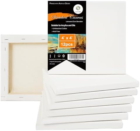 Amazon.com: SL crafts Mini Stretched Canvas 4"X4" (1 Pack of 6 Mini ...
