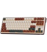 Amazon.com: RK ROYAL KLUDGE R87 Pro Wireless Mechanical Keyboard, 75 ...