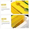Amazon.co.jp: NUOLUX ミツバチ 巣箱 巣箱 キット 養蜂家 蜂の巣 プラスチック 蜂 箱 蜂の巣 完成品 キット 蜂 器具 スイート ハニカム テラリウム から 飼料 泡 ...