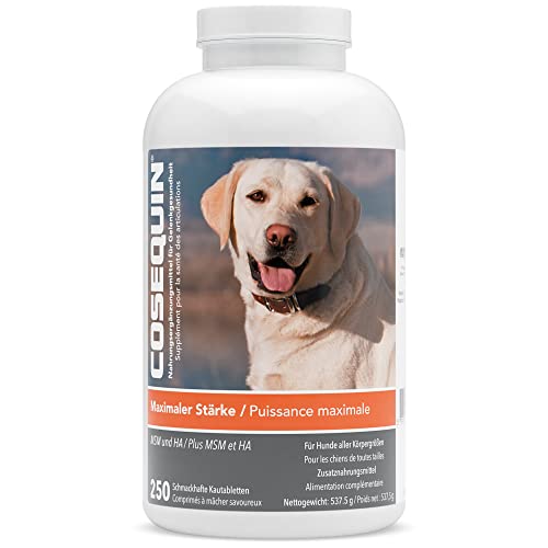 Glucosamin Chondroitin Msm Hund – Die 15 besten Produkte im Vergleich ...