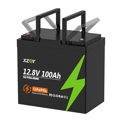 XZNY Mini 12V 100Ah LiFePO4 Battery, The Smallest 12V 100Ah Lithium ...
