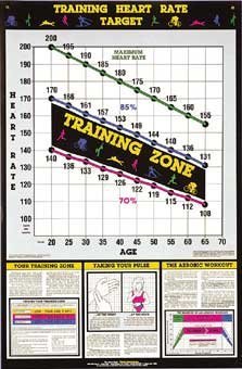Amazon.com: Training Heart Rate Target Anatomical Chart Laminated 23x35 ...
