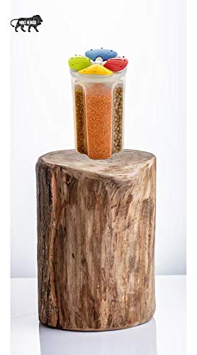 Buy GOSWAMI WITH G LOGO 4 Section Storage Container for Kitchen ...
