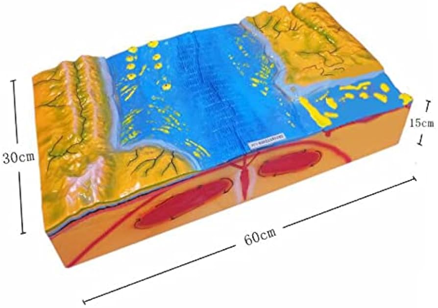 Plate Tectonics Model Project