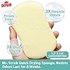 Amazon.com: Mr. Scrub Sponges Kitchen Scrub Dish Sponge Scouring Pad, 6 ...