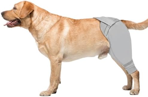 Amazon.com : Dog Rear Leg Sleeve to Stop Licking, Upgraded Hind Leg ...