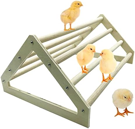 Amazon.com : Chicken Perch Wood Jungle Gym Roosting Bar Chick Stand ...