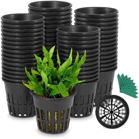 Amazon.com: Norme 100 Pcs 3 Inch Hydroponic Net Pots Plastic Slotted ...