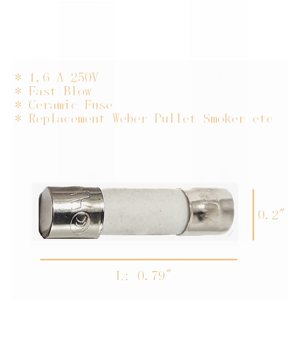 Snapklik.com : Firsgrill Fuse Replacement For Traeger, Pit Boss, Z ...