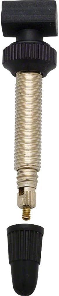 Amazon.com: DT Swiss Valve TUBELESS DT PV MTB 32mm Tubeless Presta Valves