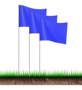 Amazon.com : JIZHGRAD Marking Flags for Lawn, Marker Flags, 15x4x5 Inch ...