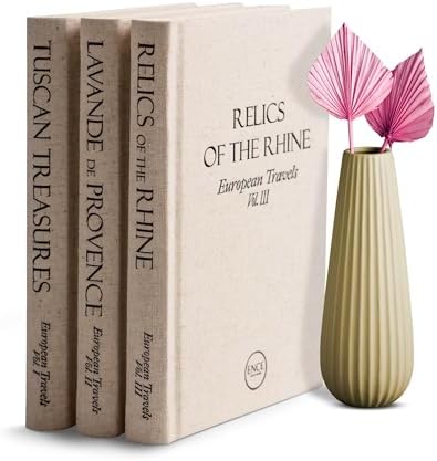 Amazon.com: STRONA Book Decor Set – 3 Real Decorative Books for Home ...