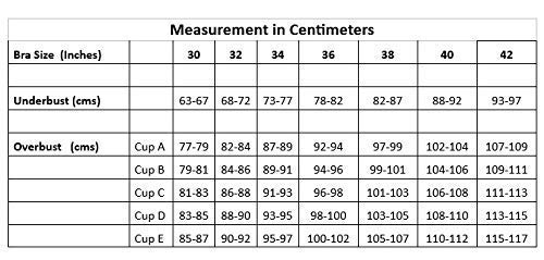 Buy Lemixa 1053 Womens Cotton D Cup Sports Bra with Full Coverage Plus ...