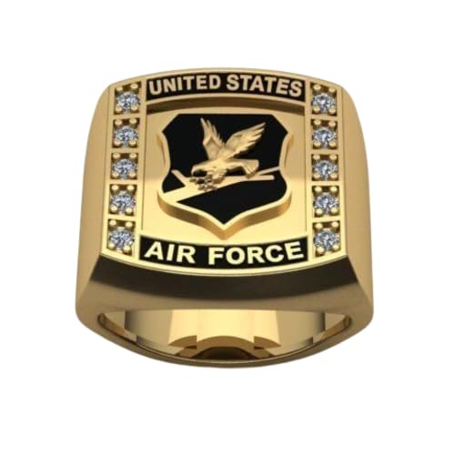 Amazon.com: icedout 925 Sterling Silver United States Air Force Eagle ...