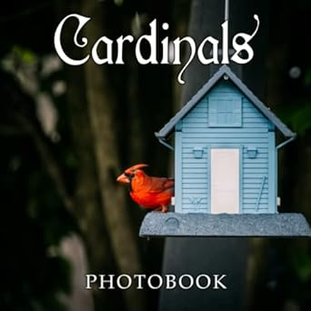 Cardinals Photography Book: 30 High-Res, Unique Pictures Of Cardinals ...