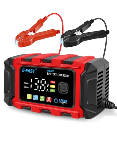 Top 10 Best Fast Car Battery Charger : Reviews & Buying Guide - Katynel