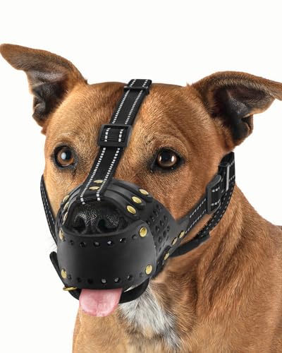 10 Best Muzzle For Aggressive Dog