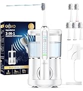 Amazon.com: OILSAO Electric Toothbrush with Water Flosser Combo in One ...