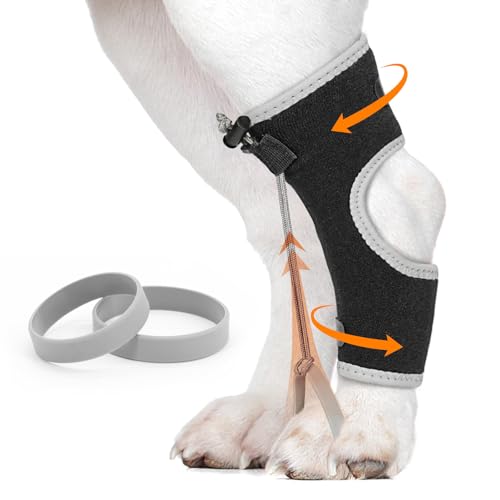 Knuckling In Dogs – The 15 best products compared - Wild Explained