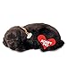 Amazon.com: Perfect Petzzz - Original Petzzz Black Lab, Realistic ...