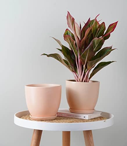 Nurturing Green® Set of 2 Blush Pink Ceramic Pot for Plants | Pots for ...