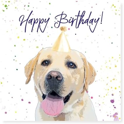 Yellow Labrador Birthday Card - Party Hat : Amazon.co.uk: Stationery ...
