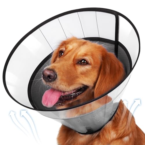 Amazon Best Sellers: Best Dog Recovery Collars & Cones
