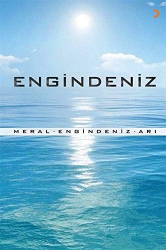Amazon.com: Engindeniz: 9786257613163: Meral Engindeniz Arı: Books