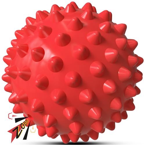 Indestructible Dog Ball – The 15 best products compared - Wild Explained
