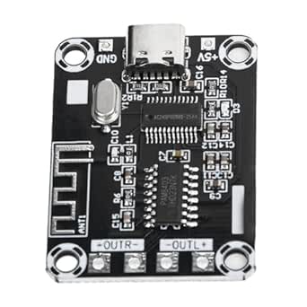 Wuden PAM8403 Digital Bluetooth Amplifier Board DC5V Mini Case Type-C ...