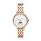 Amazon.com: Fossil Women's Jacqueline Quartz Stainless Steel Mesh Three ...
