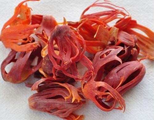 SAARA Jathipathri, Whole javitri, Mace Spice, 100g : Amazon.in: Grocery ...