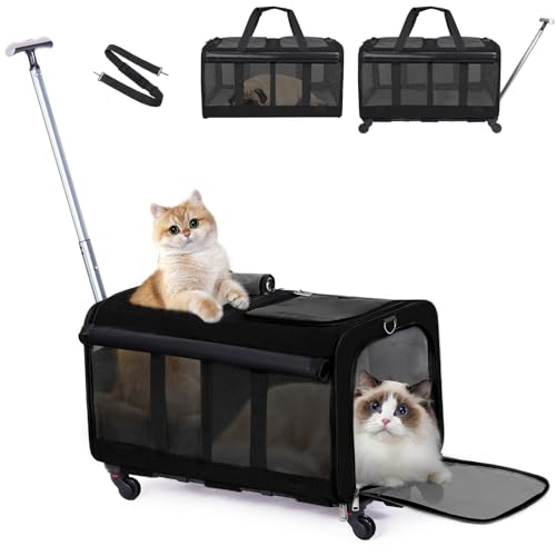 Cat Carrier with Wheels – The 15 best products compared - Wild Explained