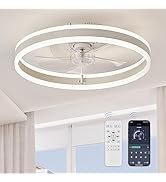 LEDIARY 20" Modern Ceiling Fans with Lights and Remote, Dimmable Low ...
