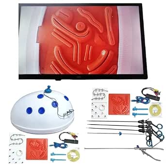 Laparoscopic SIMULATOR Oval Egg Shape Dome Type Endo Trainer ...