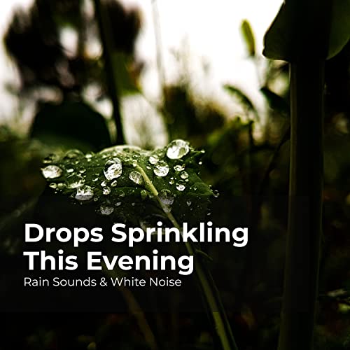 Amazon Music - Rain Sounds & White Noise & Raindrops Sleep & Sleep RainのDrops Sprinkling This ...