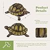 Amazon.com : Pure Garden Turtle Statue,Green / Brown : Patio, Lawn & Garden
