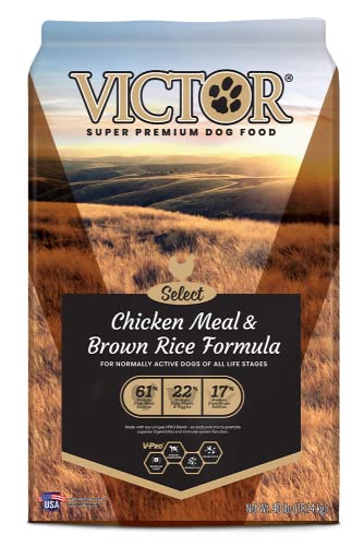 Unleash the Power of Nutrition with the Top 10 Victor Dog Foods - A ...