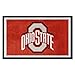 Amazon.com: Fanmats 6266 Ohio State University Buckeyes Nylon Rug ...