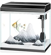Amazon.com : PONDON 8 Gallon Fish Tank, Glass Aquarium Tank with ...
