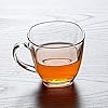 Buy MARKQUES Teaware Glass Cup for Green Tea, Herbal Tea, Coffee ...